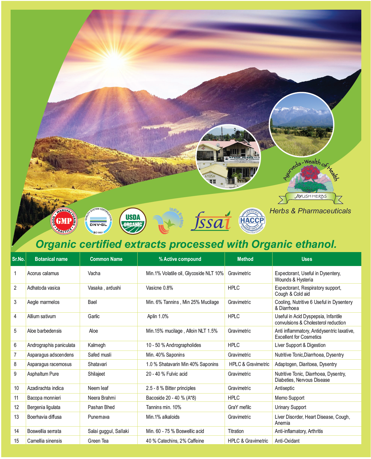 Premium Herbal Extracts – Natural Solutions by Ayush Herbs